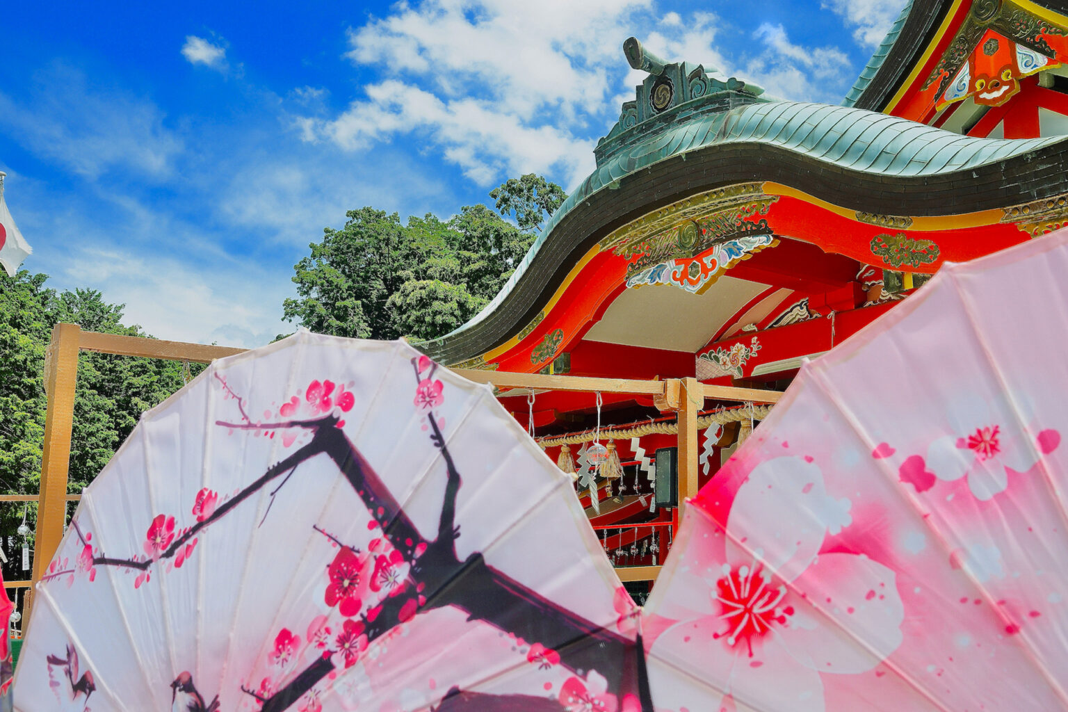 ギャラリー | 堺悠々写真クラブ